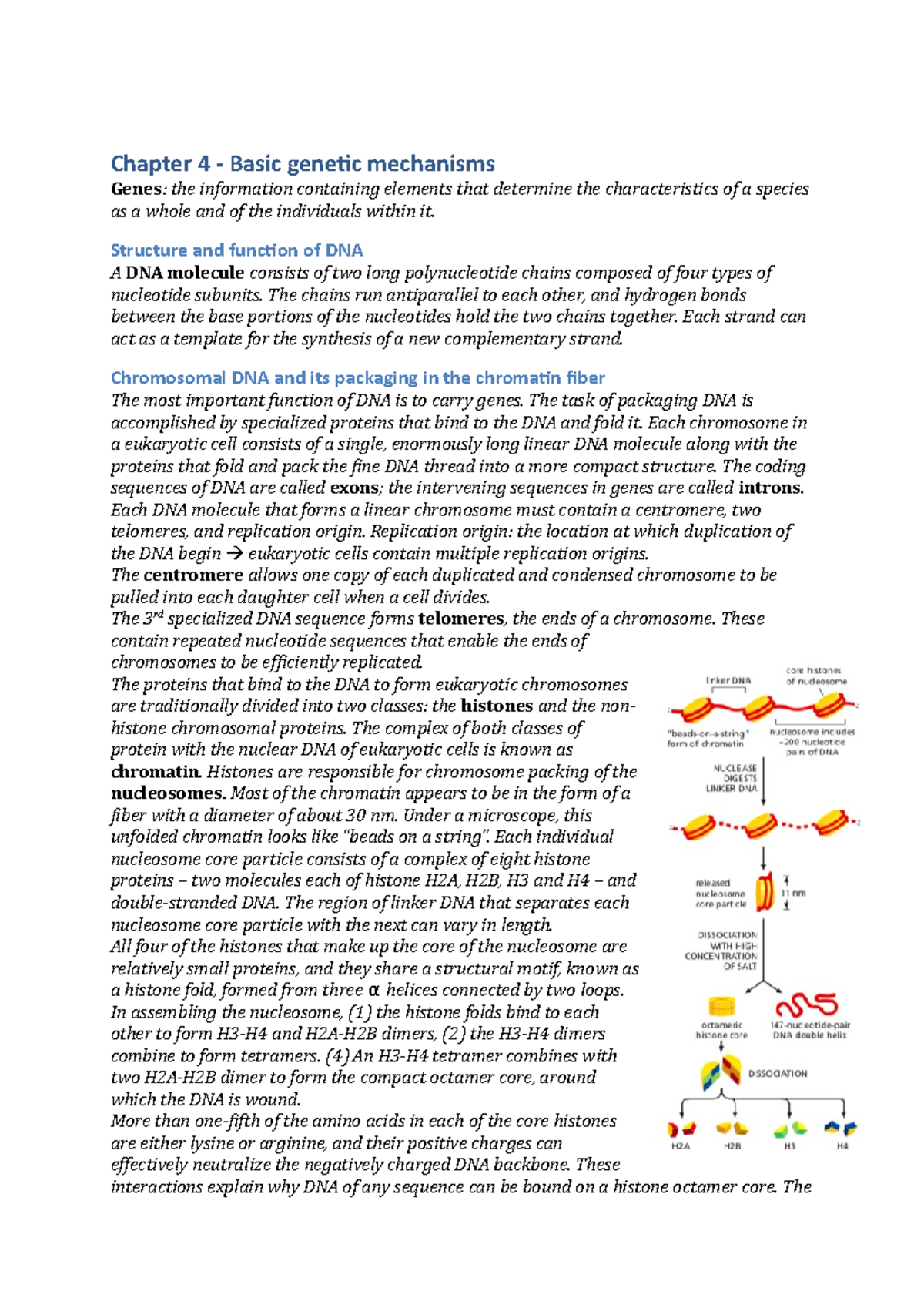 hoofdstuk 4 basic genetics mechanism - Chapter 4 - Basic genetic ...