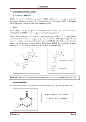 Cours 3 pdf 2 - Réplication d'ADN - Réplication de l’ADN 1- Définition ...