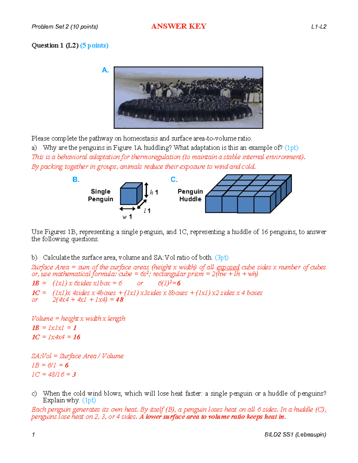PS L1L2 Answer Key - homework - Problem Set 2 (10 points) ANSWER KEY L1 ...