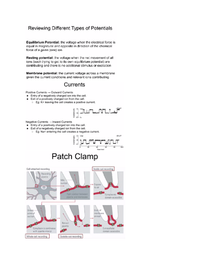 Worksheet 1 - Practice with channels and IV curves - NPB 100, Spring ...