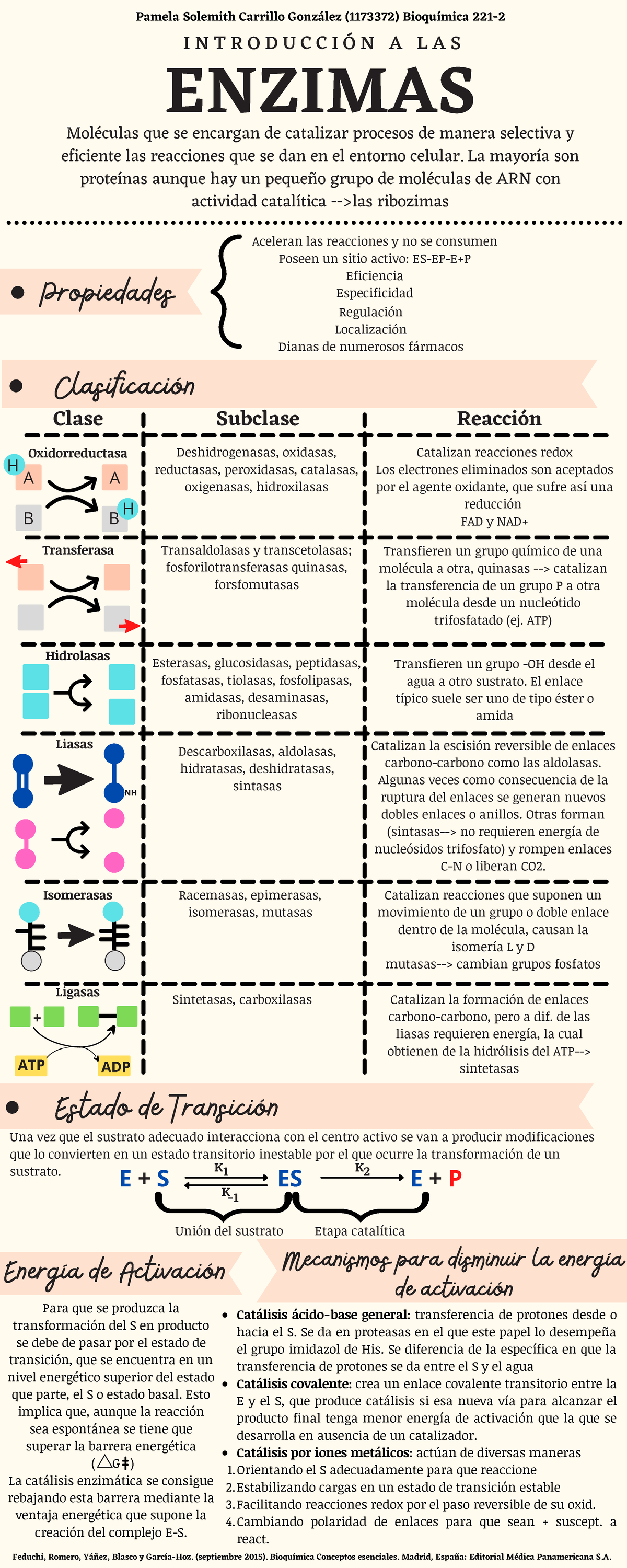Infografía Enzimas - Ligasas Sintetasas, carboxilasas Isomerasas ...