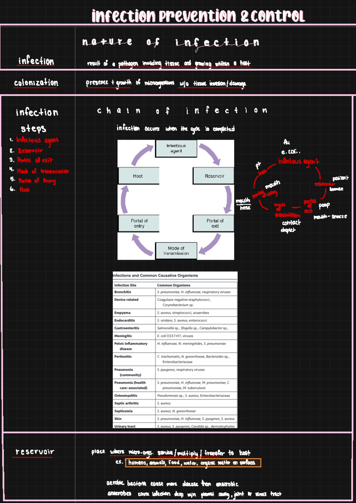 Essentials Notes Week One - infection prevention & control infection ...