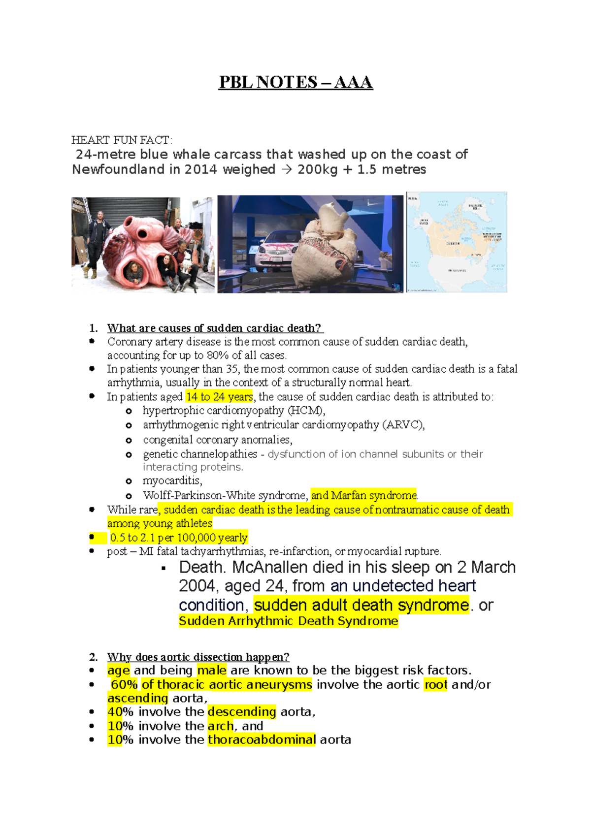PBL Notes AAA - PBL NOTES – AAA ####### HEART FUN FACT: 24-metre blue ...