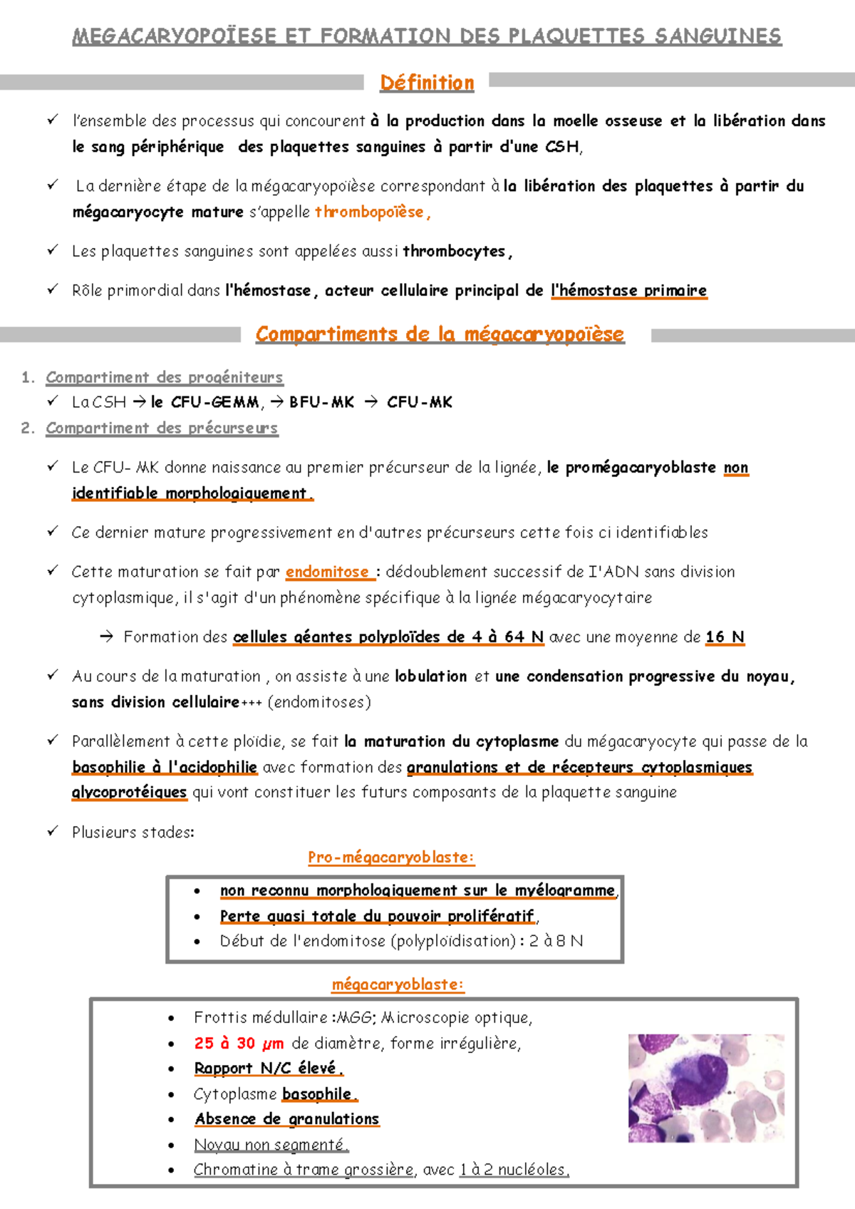 Mégacaryopoïèse et formation des plaquettes sanguines - MEGACARYOPOÏESE ...