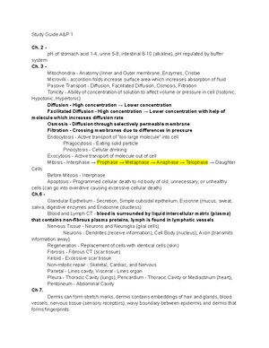 Nervous System - Studocu