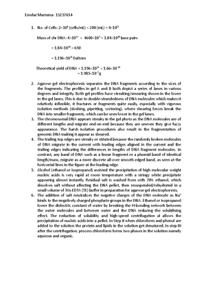 AUT23 WSU Forensic Biology Court Report Template - Assignment Cover ...