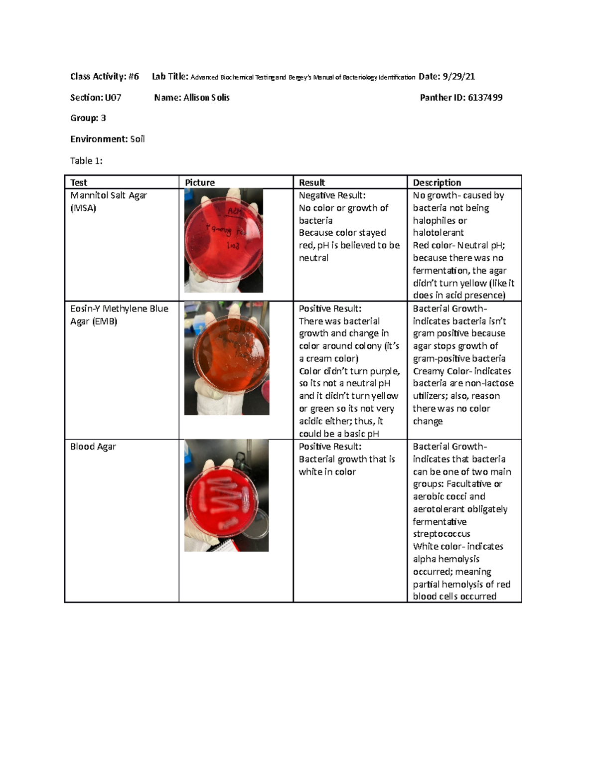 MCB Lab 6 - Advanced Biochemical Testing and Bergey’s Manual of ...