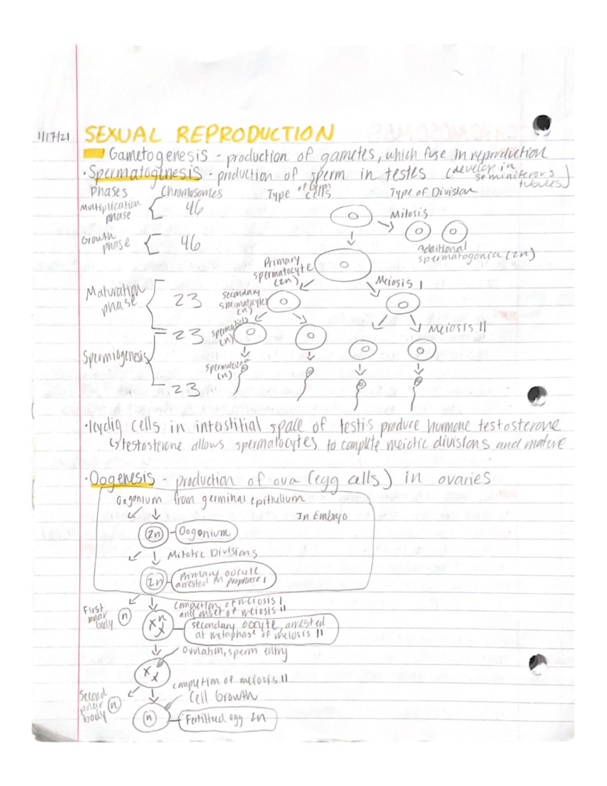 Biology Of Reproduction - L41 2960 - Studocu