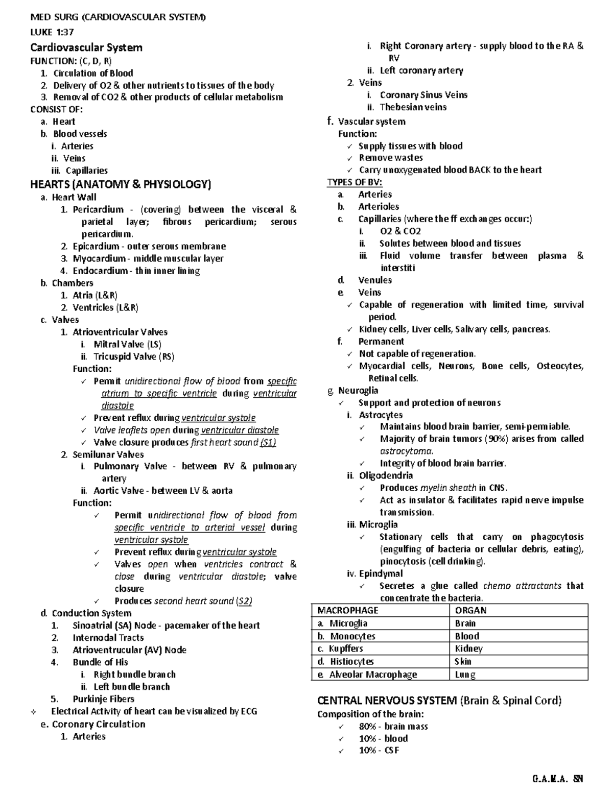 Cardiovascular System Overview Notes - MED SURG (CARDIOVASCULAR SYSTEM ...