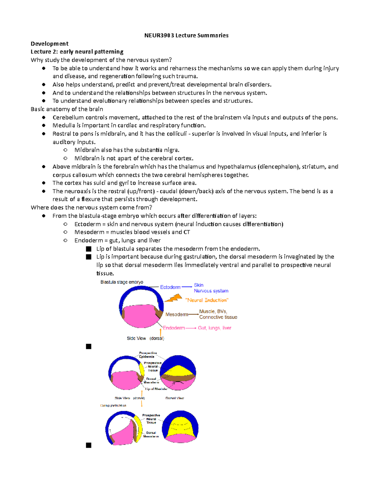 1 Lecture Summaries Summary Cellular And Developmental Neuroscience Neur3903 Lecture