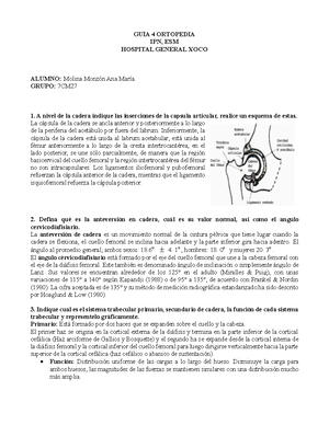 Castellvi - REVIEW ARTICLE Lumbosacral Transitional Vertebrae ...