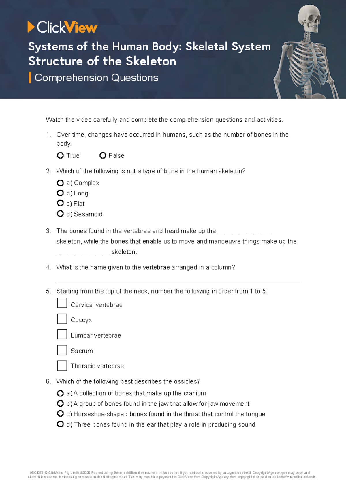 Comprehension+Questions - Systems of the Human Body: Skeletal System ...