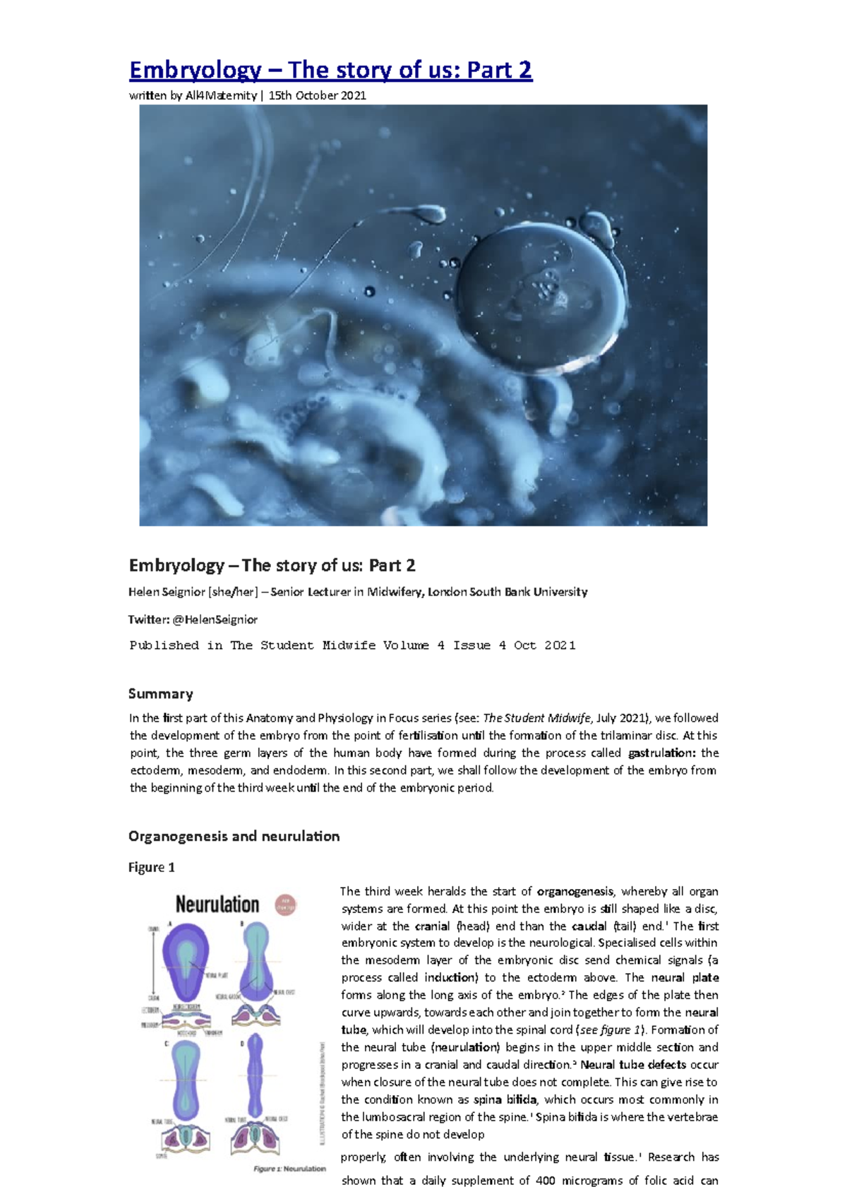 Embryology 2 - At this point, the three germ layers of the human body ...