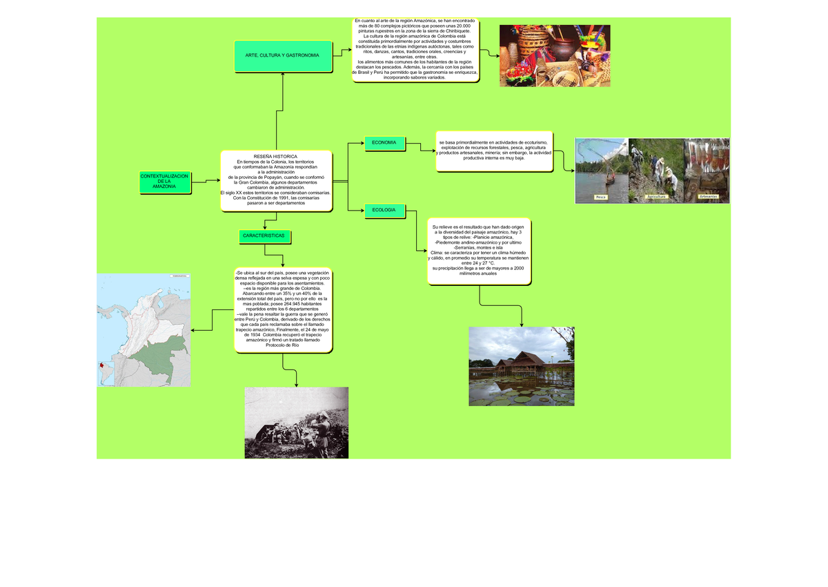Contextualización Angie BRAN - CONTEXTUALIZACION DE LA AMAZONIA RESEÑA ...