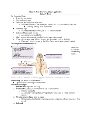 Class 4 - notes - Class 4: Cognition and Level of Consciousness LOC ...