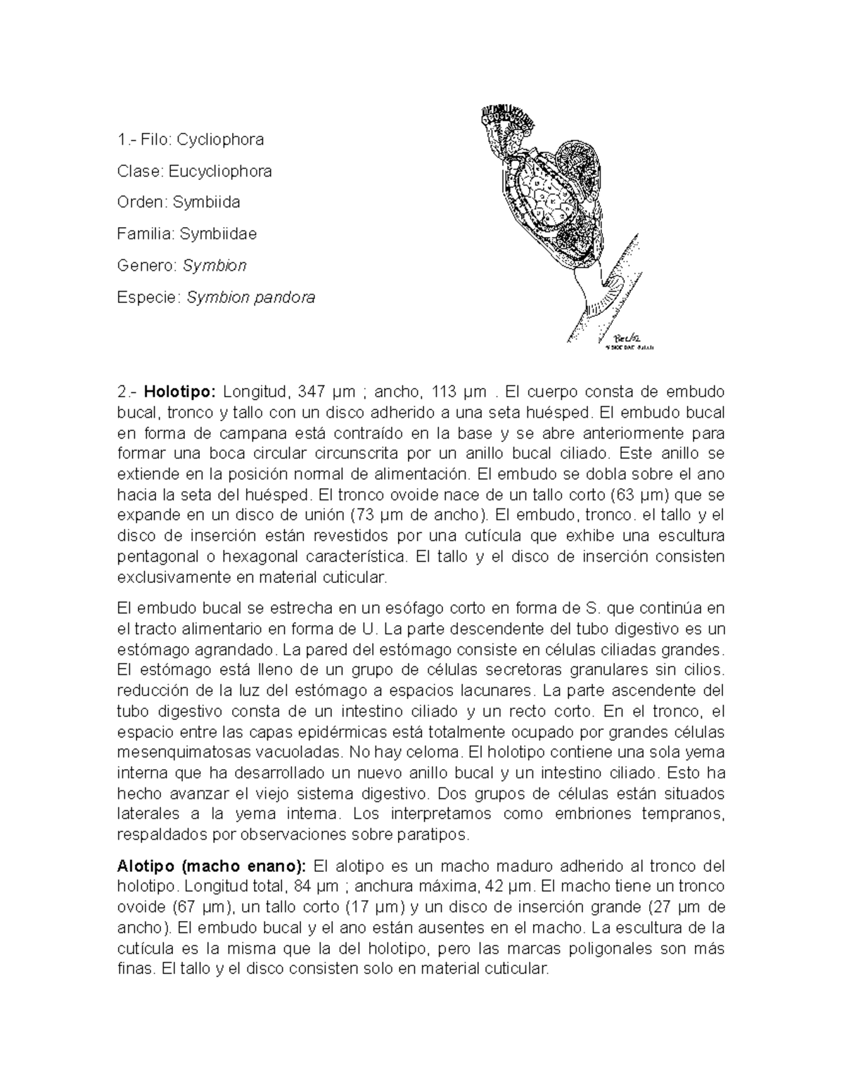 Sistematica - resultados de practica de levaduras - 1.- Filo ...