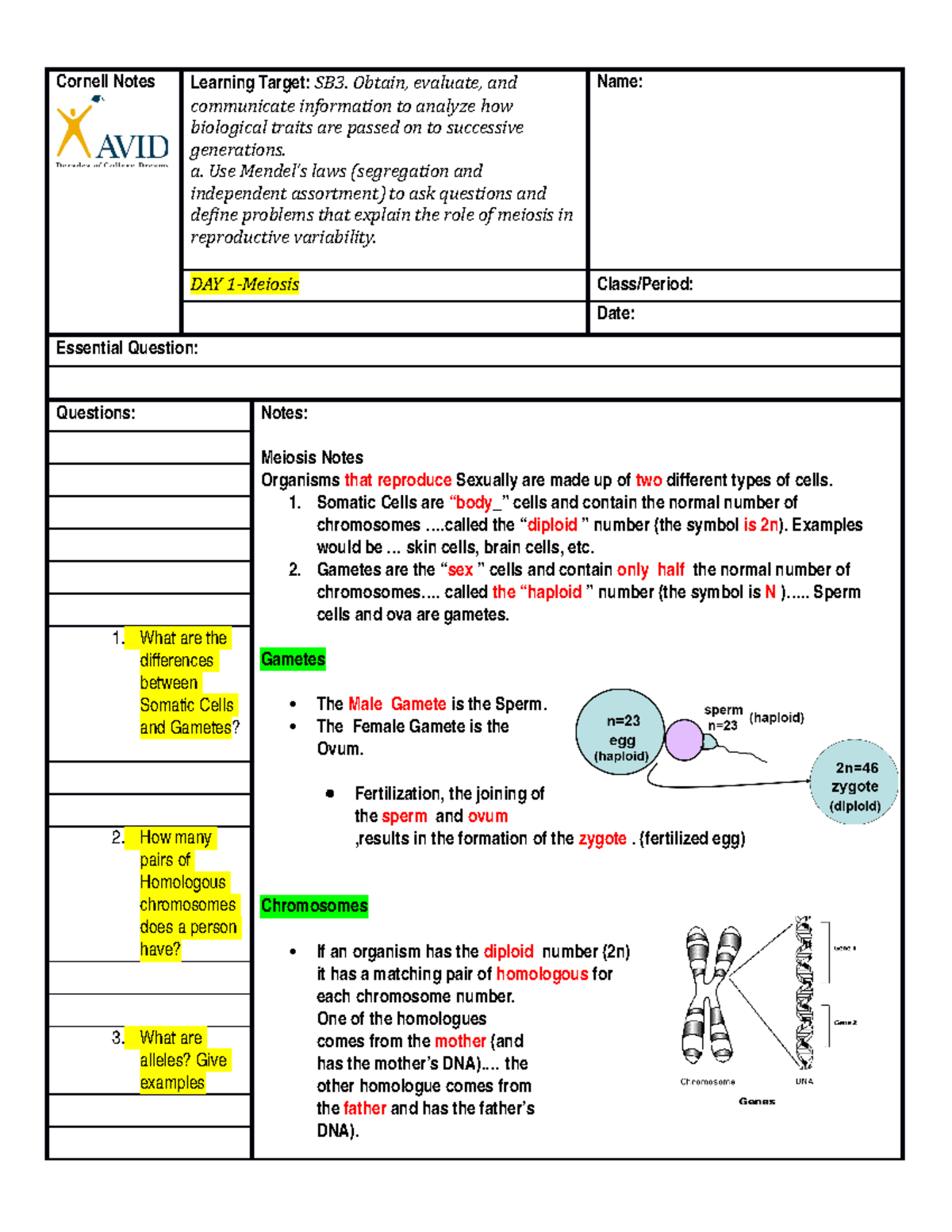 Cornell Notes Meiosis Day 1 - Cornell Notes Learning Target: SB3 ...