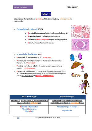 Neoplasia mcq - MCQ OF General pathology course - 1-Pigmented malignant ...