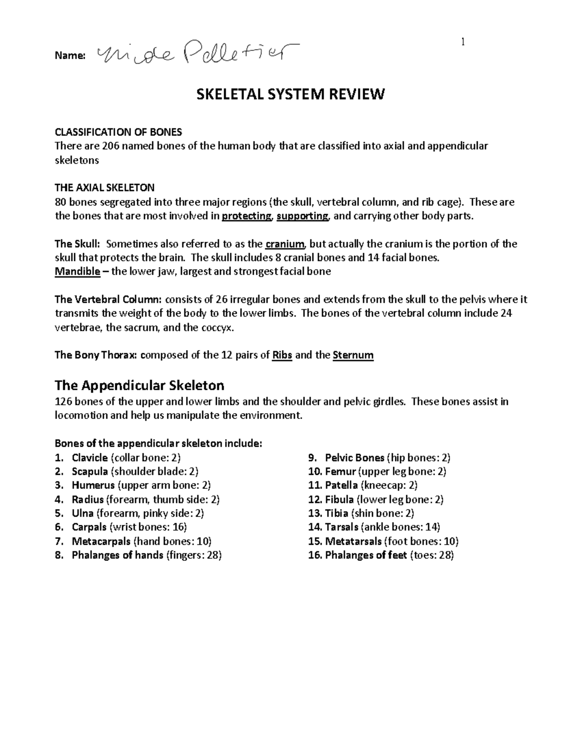 Skeletal System Review 202120 - Name: SKELETAL SYSTEM REVIEW ...