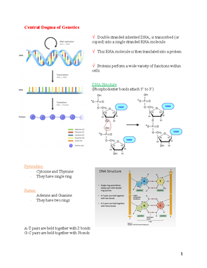 Central Dogma OF LIFE DNA Replication - CENTRAL DOGMA OF LIFE DNA ...
