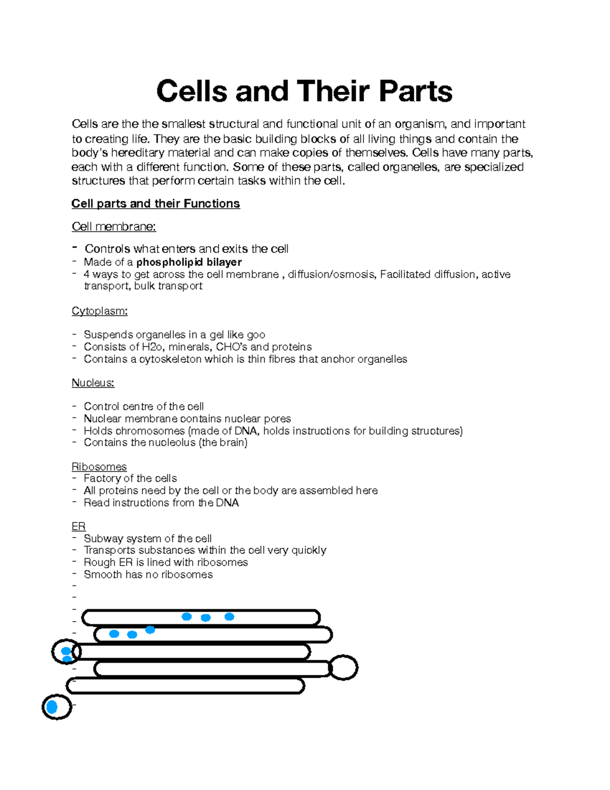Basic cells information grade 10 - Cells and Their Parts Cells are the ...