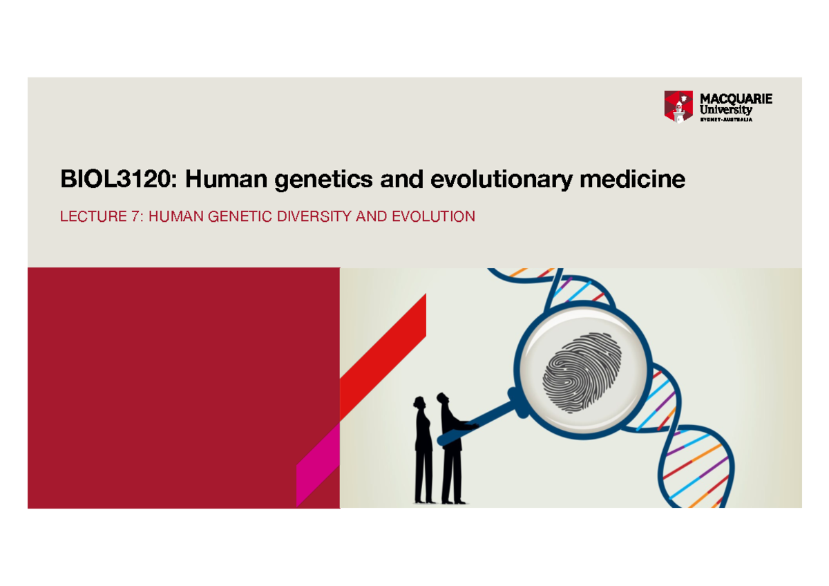 Lecture 10 - Human genetic variation shrt - BIOL3120: Human genetics ...