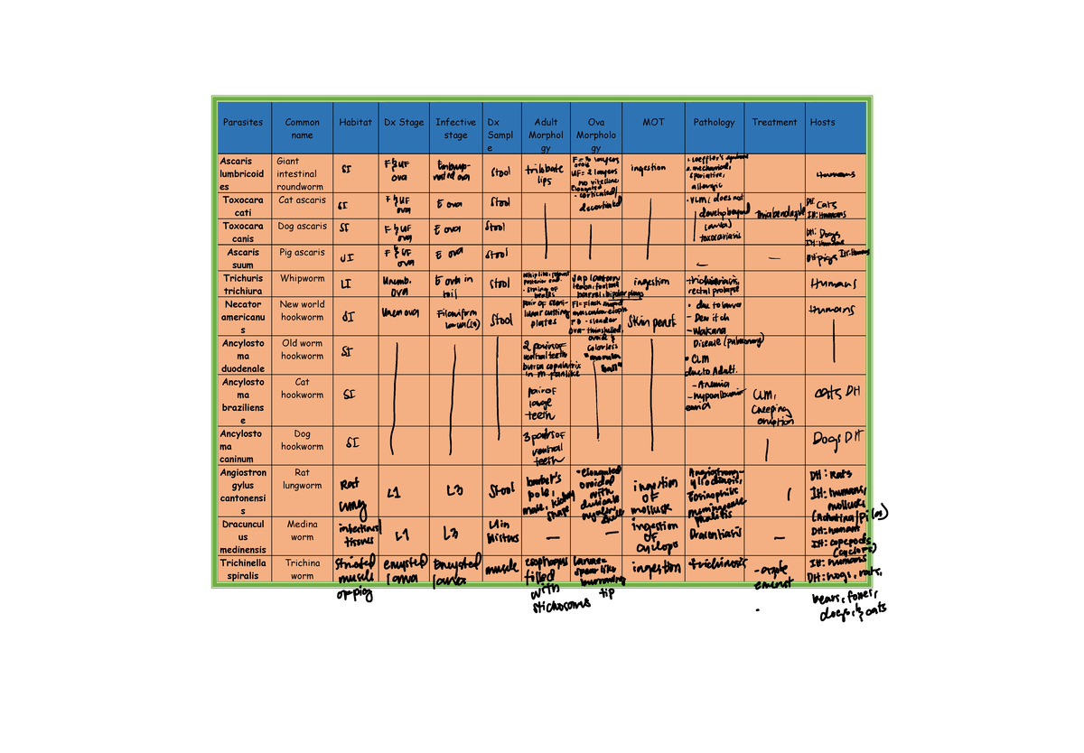 Parasitology table - Parasites Common name Habitat Dx Stage Infective ...