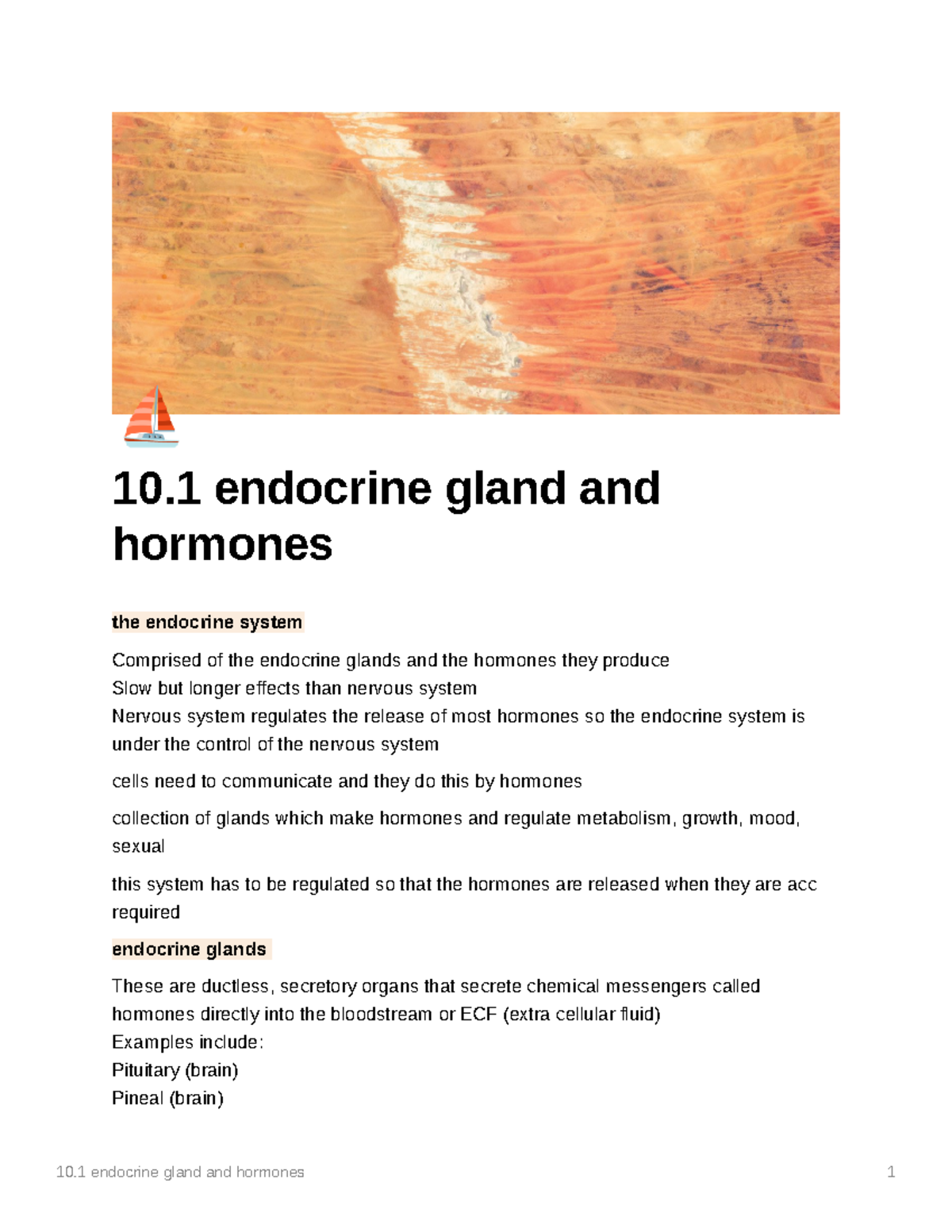 chapter 10.1 the endocrine glands and hormones - ⛵ 10 endocrine gland ...