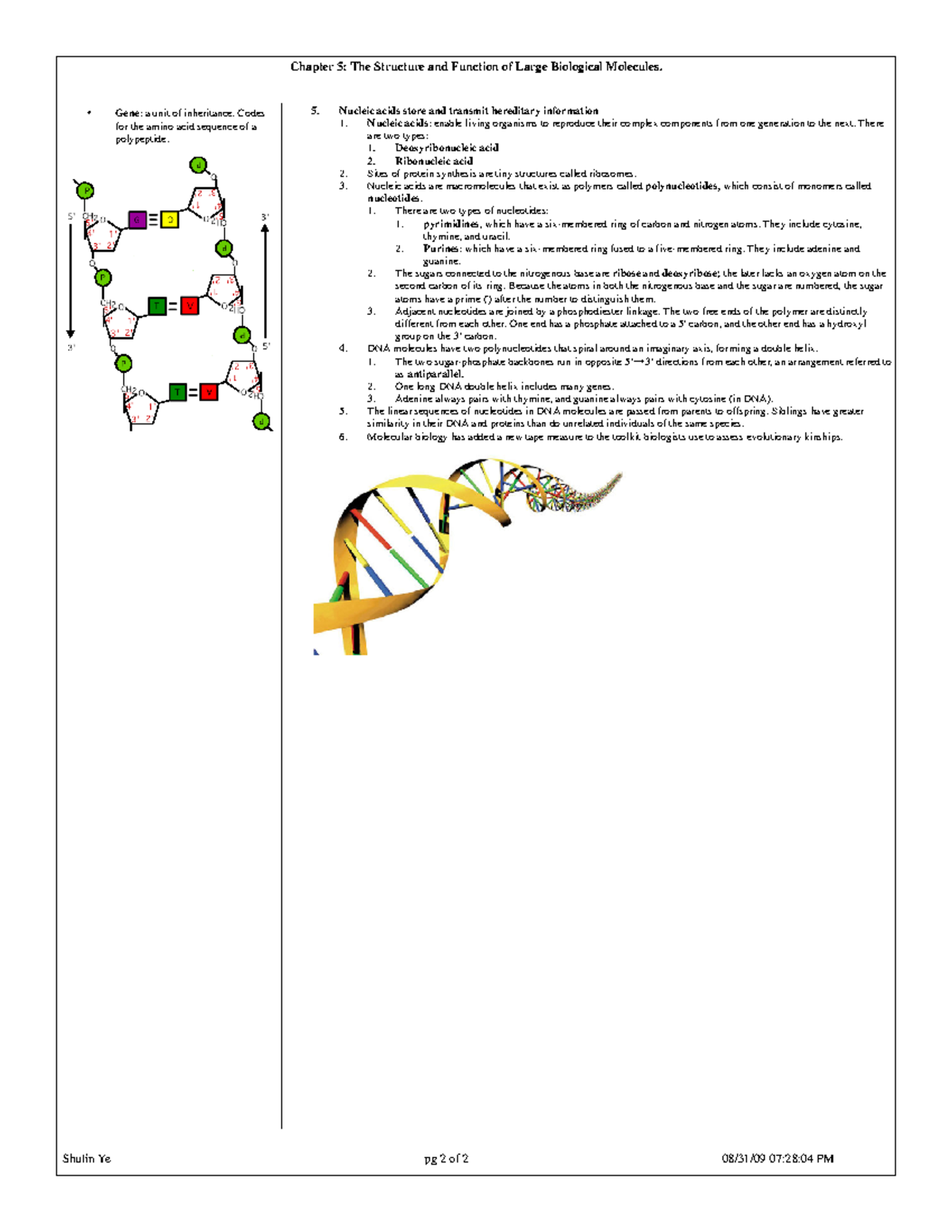 New Bio Notes 3 Bio Lecture Notes Chapter 5 The Structure And Function Of Large Biological