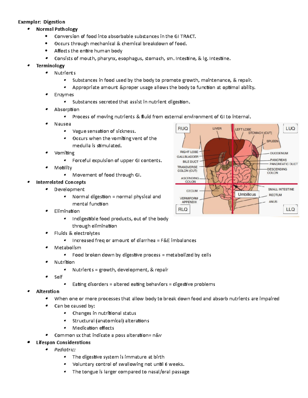 Digestion and elimination - Exemplar: Digestion Normal Pathology ...