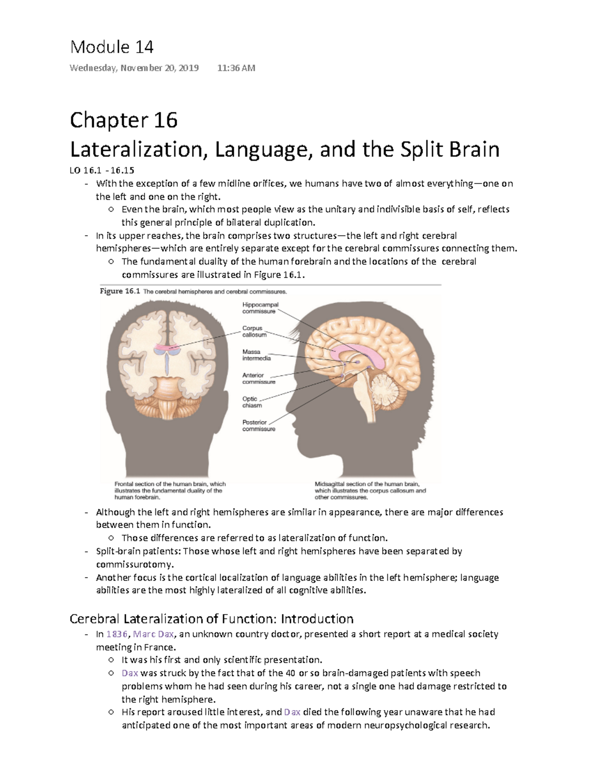 Chapter 16 Lateralization, Language, and the Split Brain - Warning: TT ...