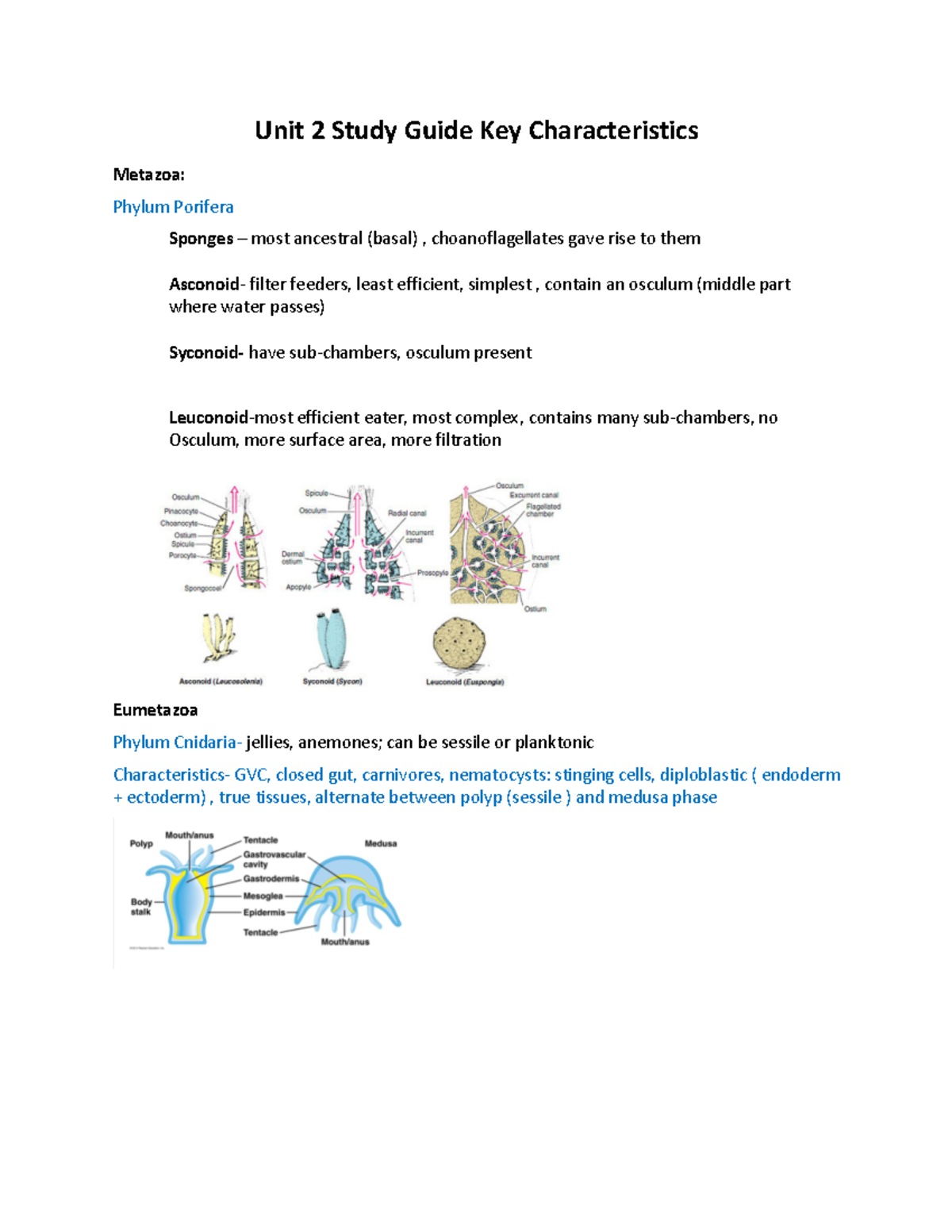 Unit 2 Study Guide Bio 201 Spring 22 - Unit 2 Study Guide Key ...