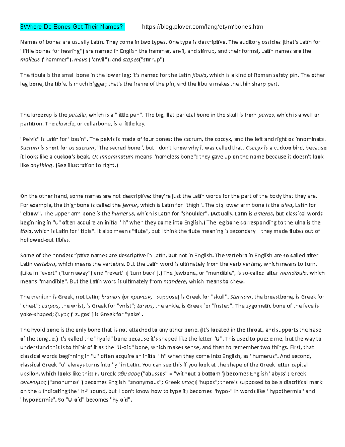 Skeletal system - fun facts about bones article - 8Where Do Bones Get ...