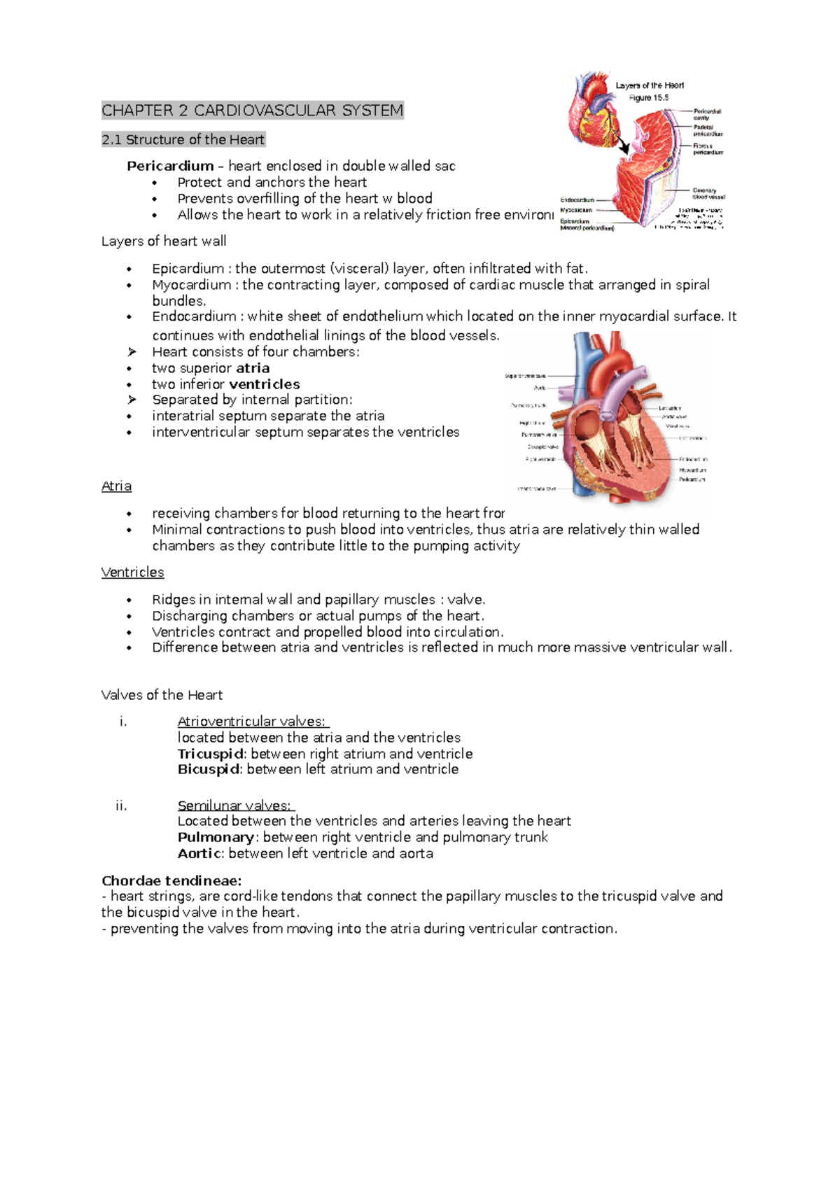 Chp2 - Cardiovascular System - CHAPTER 2 CARDIOVASCULAR SYSTEM 2 ...