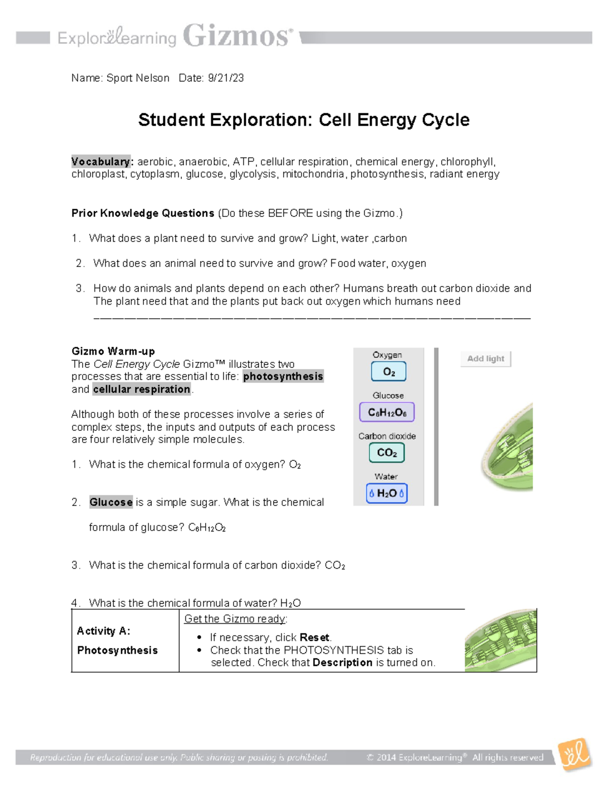 Cell Energy SE Gizmos - THIS IS A BAD IDEA - Name: Sport Nelson Date: 9 ...