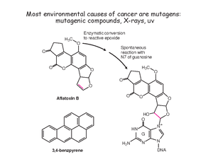 Complex Traits - Lecture 31: Genetic Heterogeneity and Complex Traits ...