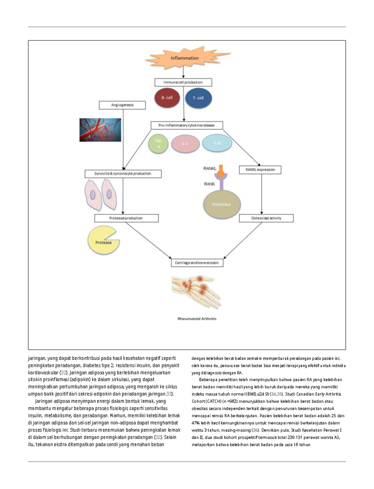 Hubungan Antara DIET DAN RA Diet dan Peradangan - jaringan, yang dapat ...