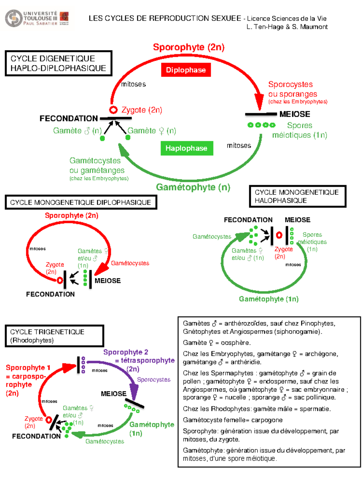 Cycle de reproduction - LES CYCLES DE REPRODUCTION SEXUEE - Licence ...
