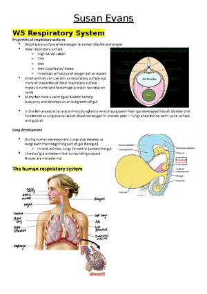 Anatomy - ANATOMY 'M ! ! ! objective : how cells are organised Four ...