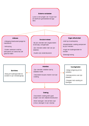 Anamnese (mevrouw Beerts) 1 - Anamnese volgens de Gezondheidspatronen ...