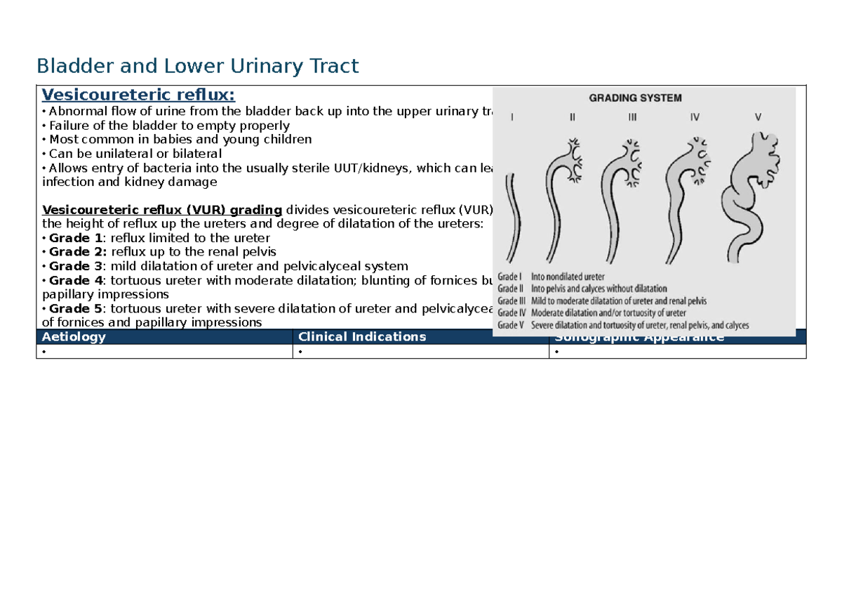 Bladder and Lower Urinary Tract Lectures - Bladder and Lower Urinary ...