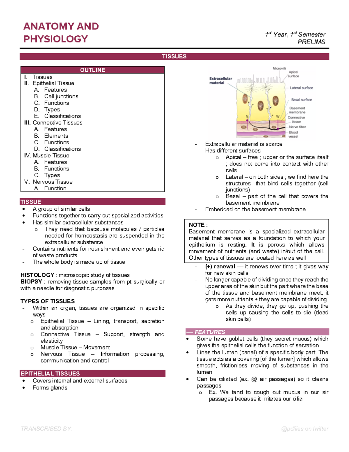 AP03-Tissues - BS Nursing 1st Year - Anatomy and Physiology Tissues ...