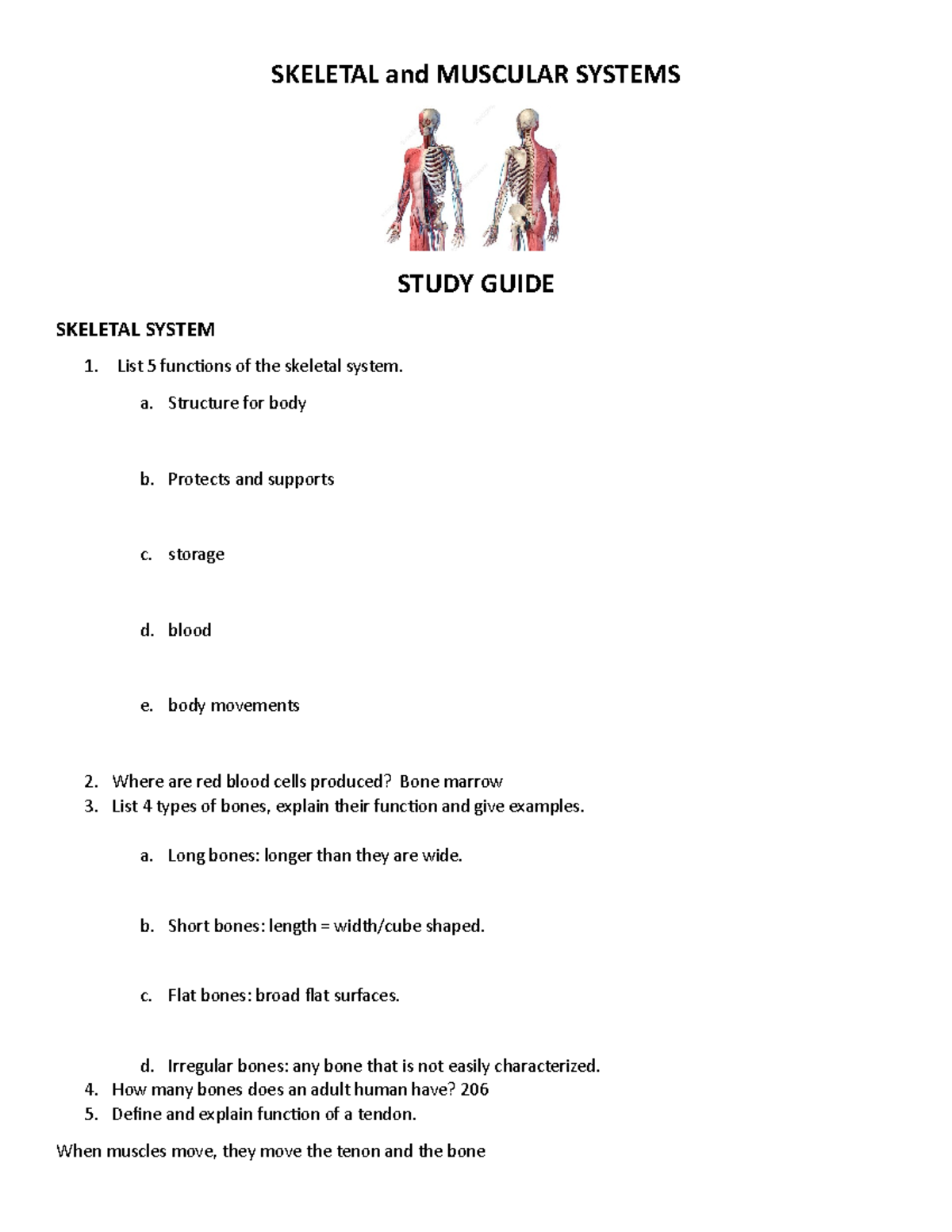 Sketetal and Muscle Systems Study Guide - SKELETAL and MUSCULAR SYSTEMS ...