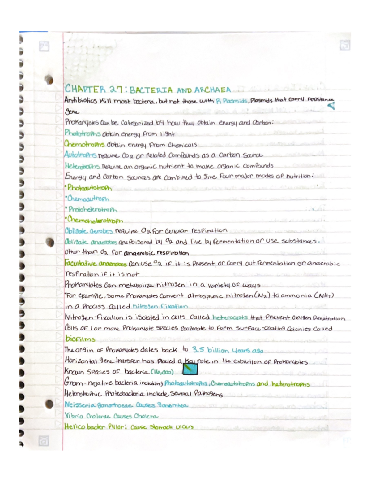 Chapter 27: Bacteria and Archaea - BIO-112 - Studocu