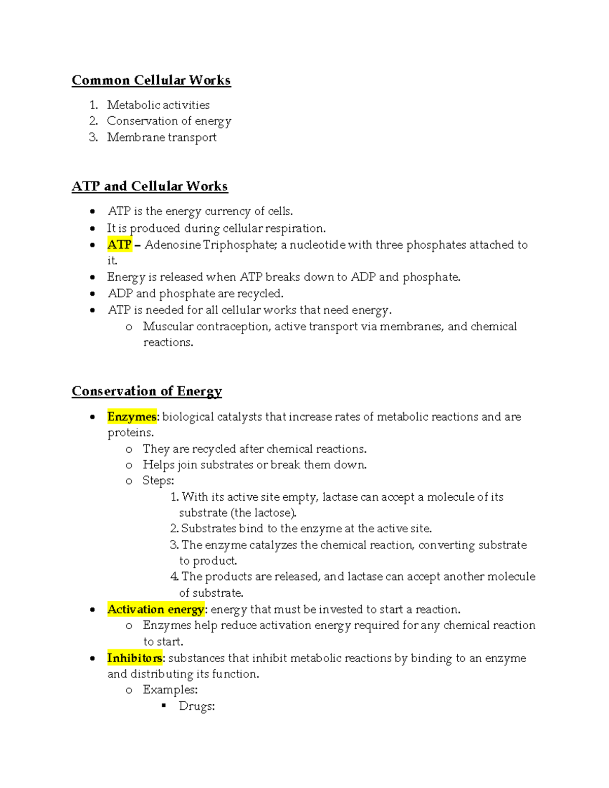 6 - The Working Cell - Notes from PowerPoint. - Common Cellular Works ...