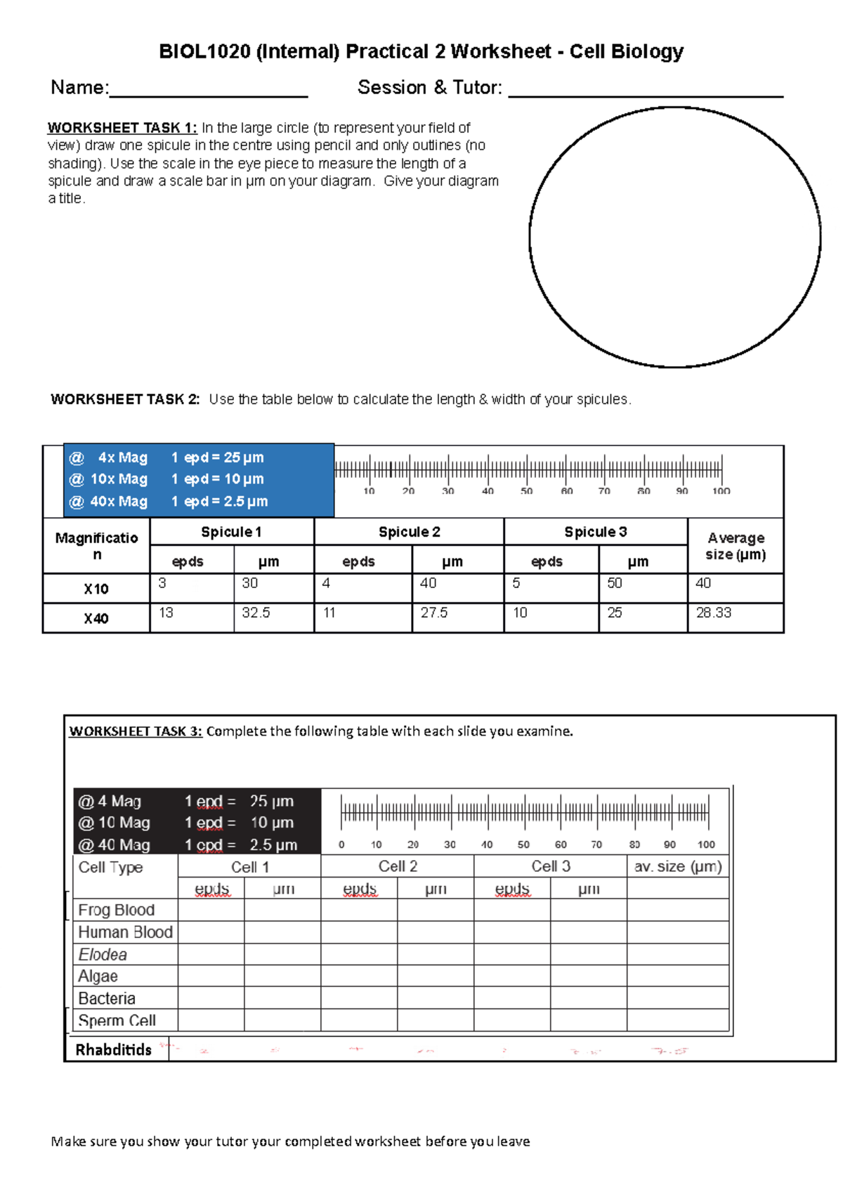 Prac 2 - Microscopy Worksheet (Internal) - BIOL1020 (Internal ...