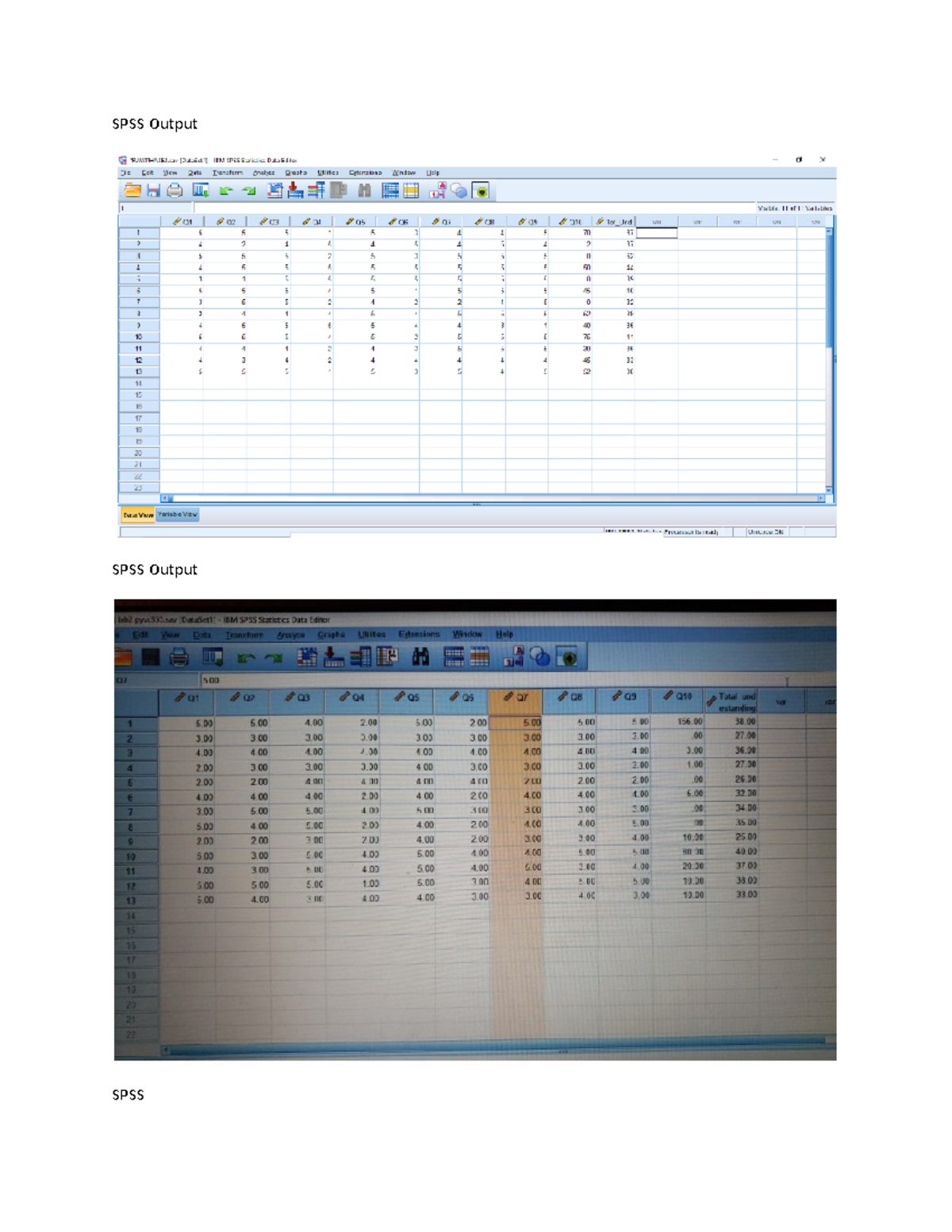 Taxation Analysis - Accounting for Assets - SPSS Output SPSS Output ...