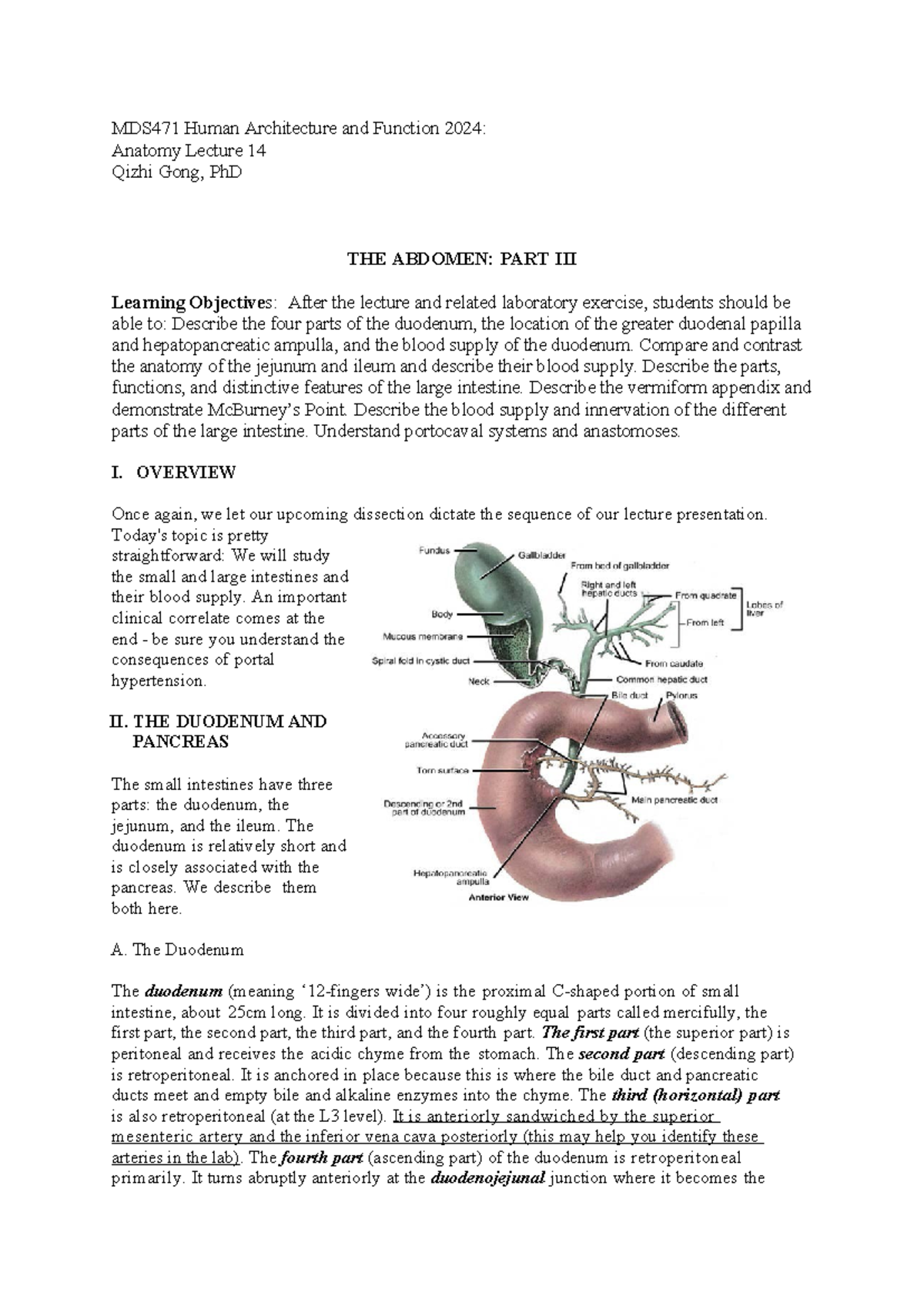 Anatomy l14 abdomen 3 gong notes - MDS471 Human Architecture and ...