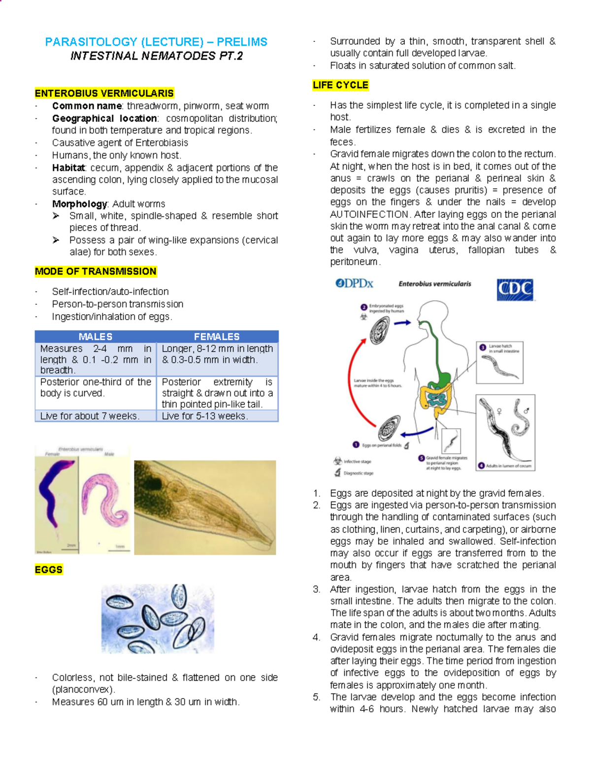 2 - Lec Notes - PARASITOLOGY (LECTURE) – PRELIMS INTESTINAL NEMATODES ...