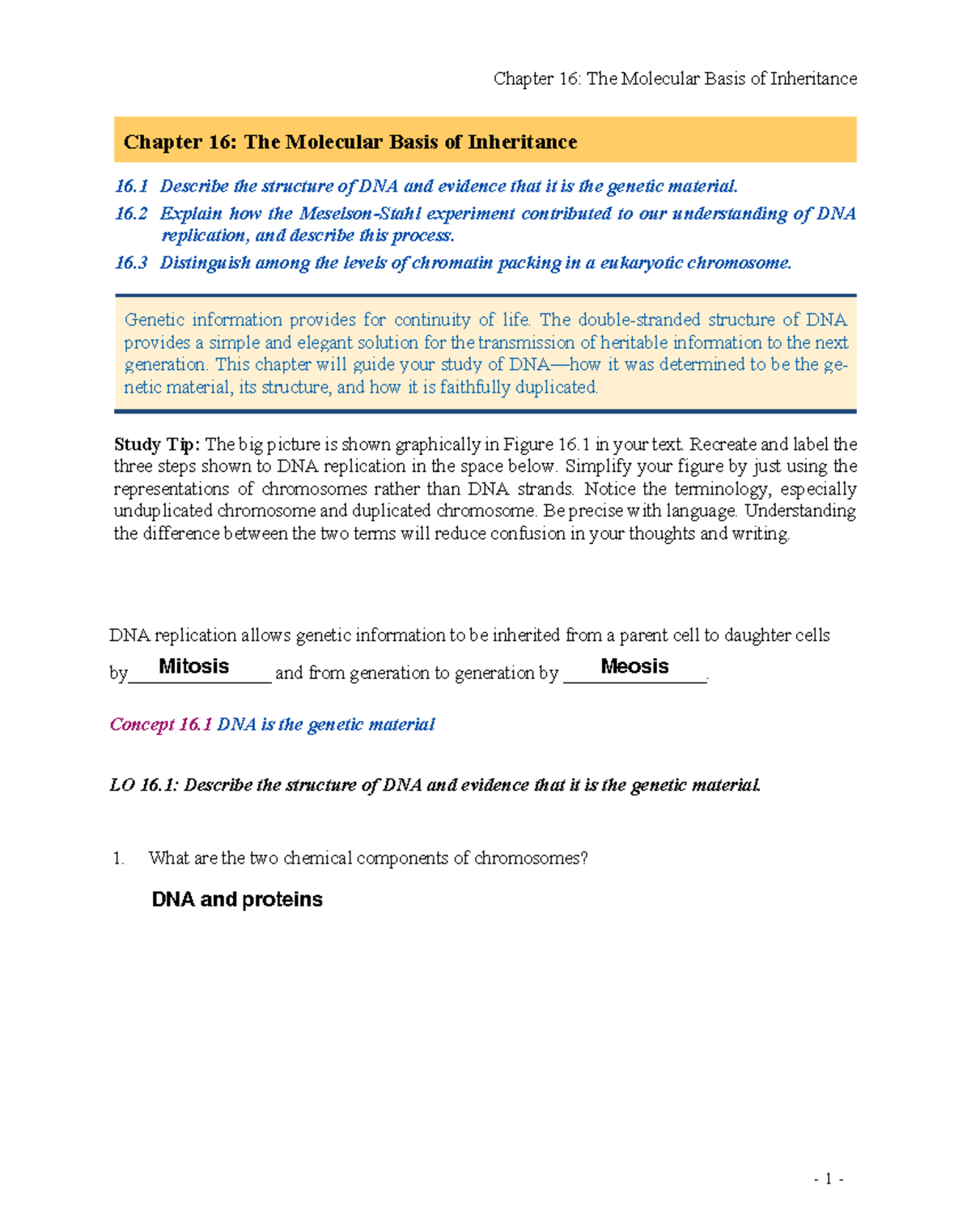 Active%20Reading%20Notes 16%20Short - Chapter 16: The Molecular Basis ...